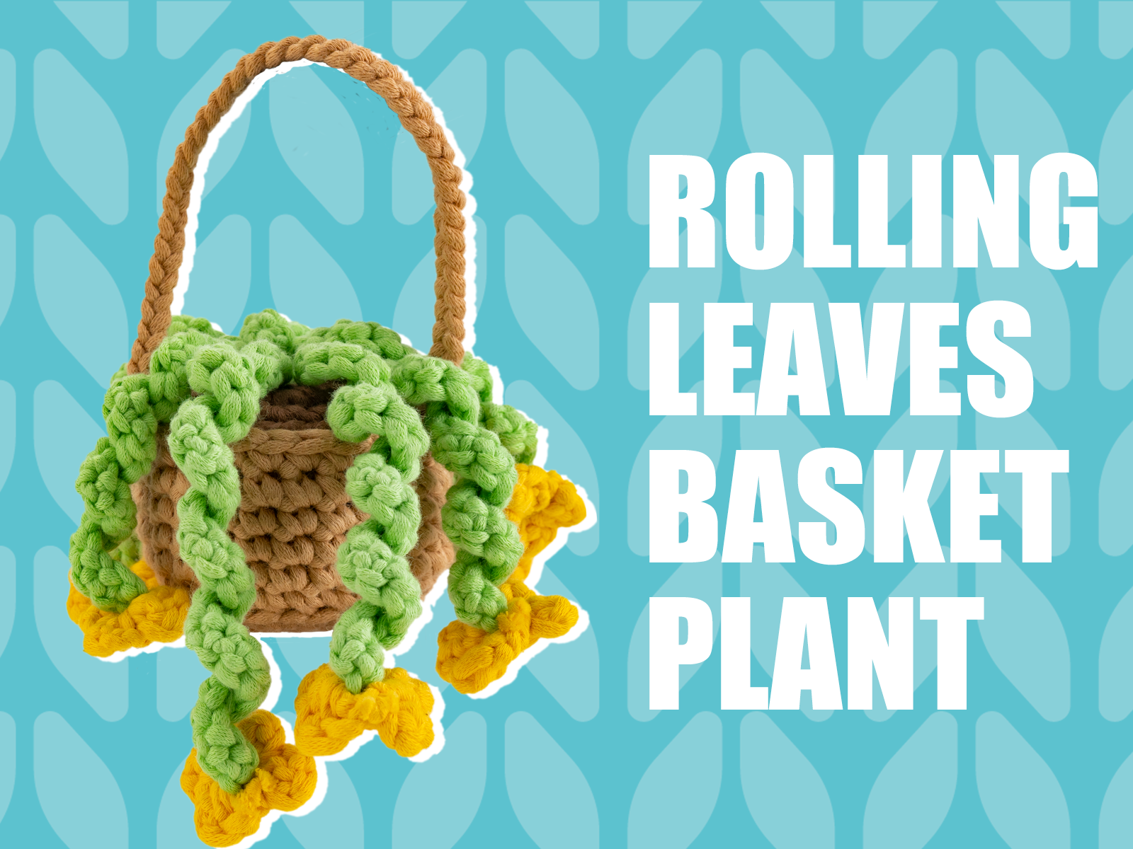 Rolling Leaves Basket Plant – HEJIN